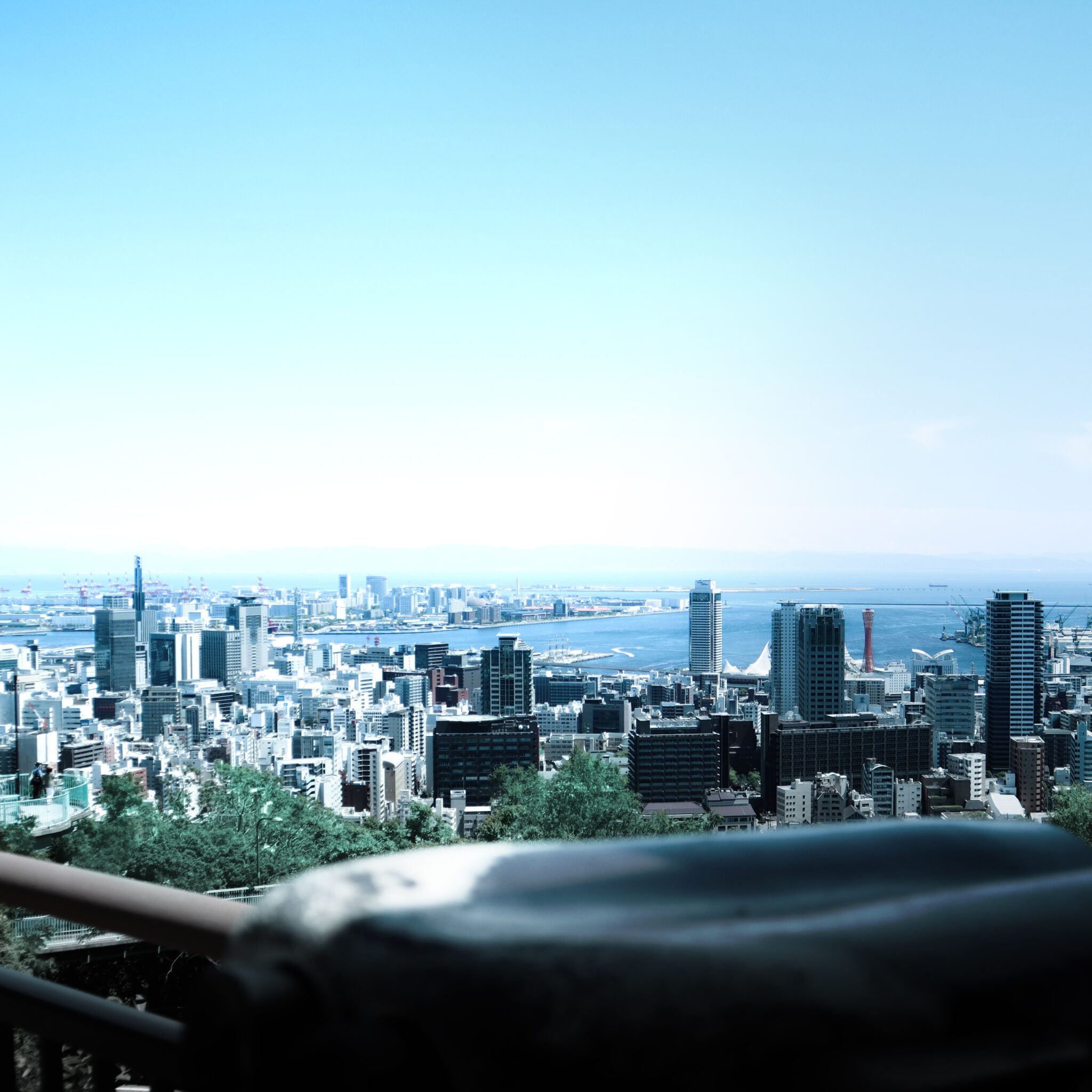 KOBE LANDSCAPE - MIMILILICA